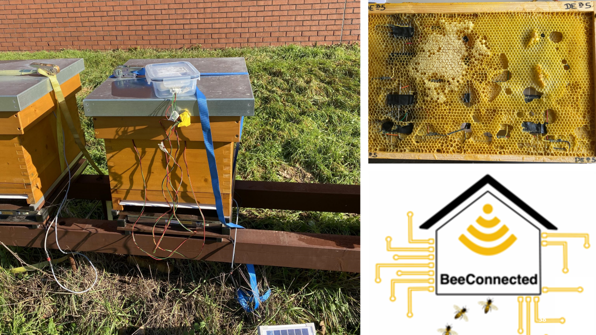 Jahresrückblick aus der Schulimkerei – Ein herzliches Dankeschön! – Aus dem Schulleben des SBSZ ...
